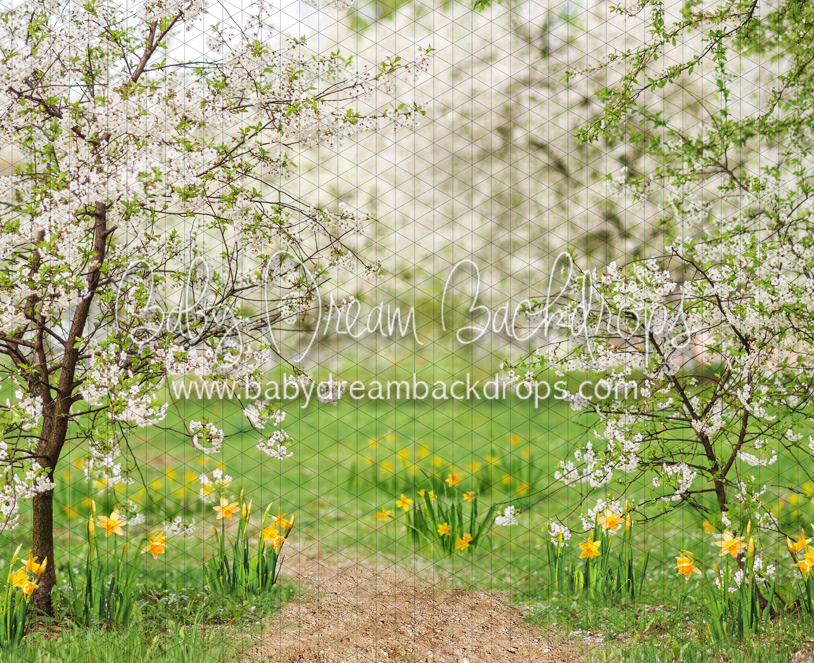 Simple Spring Path (CC) — Baby Dream Backdrops