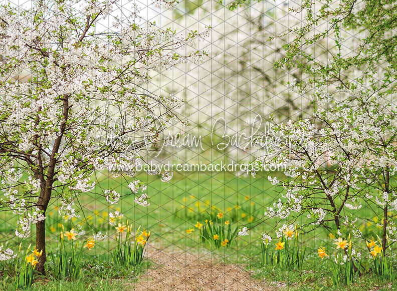 Simple Spring Path (CC) – Baby Dream Backdrops