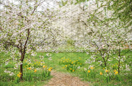 Simple Spring Path (CC) — Baby Dream Backdrops