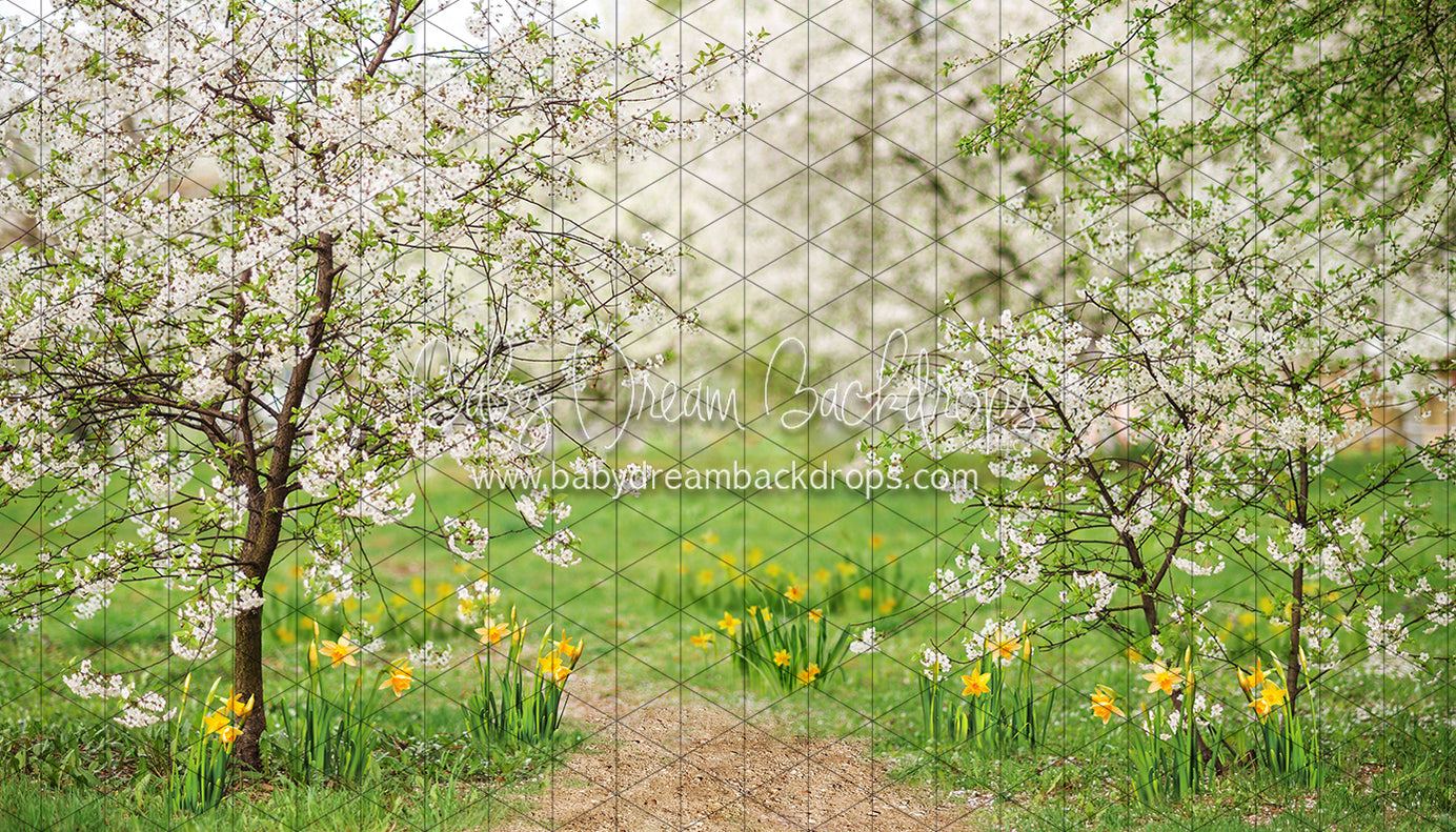 Simple Spring Path (CC) — Baby Dream Backdrops