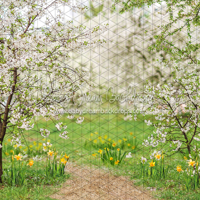 Simple Spring Path (CC) — Baby Dream Backdrops