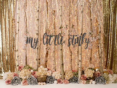 Sparkle Forest – Baby Dream Backdrops
