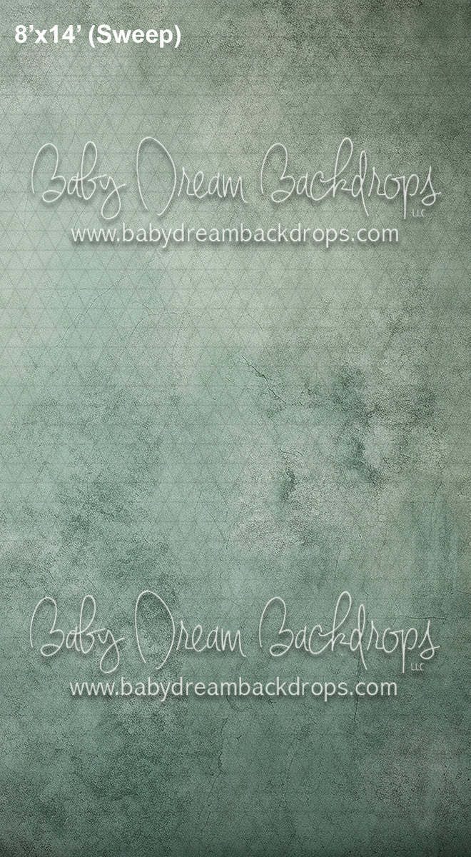 Sweeps CTandRina Mosscrete (AZ) – Baby Dream Backdrops