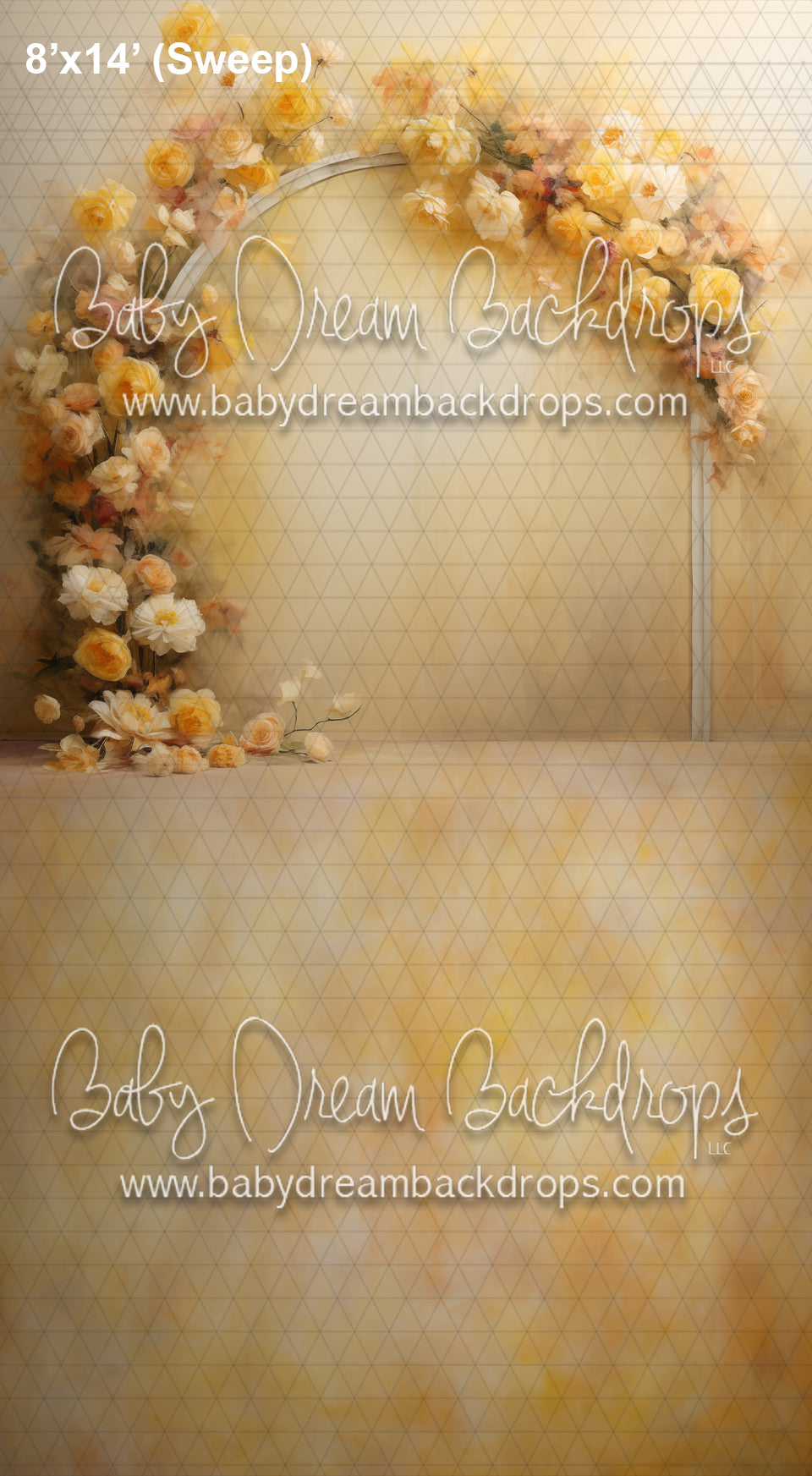 Sweeps CTandRina Painted Floral Arch Sunrise (AZ) — Baby Dream Backdrops