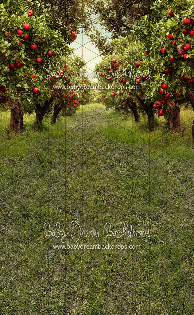 Sweeps Apple Orchard Path (Grass) (JA) – Baby Dream Backdrops