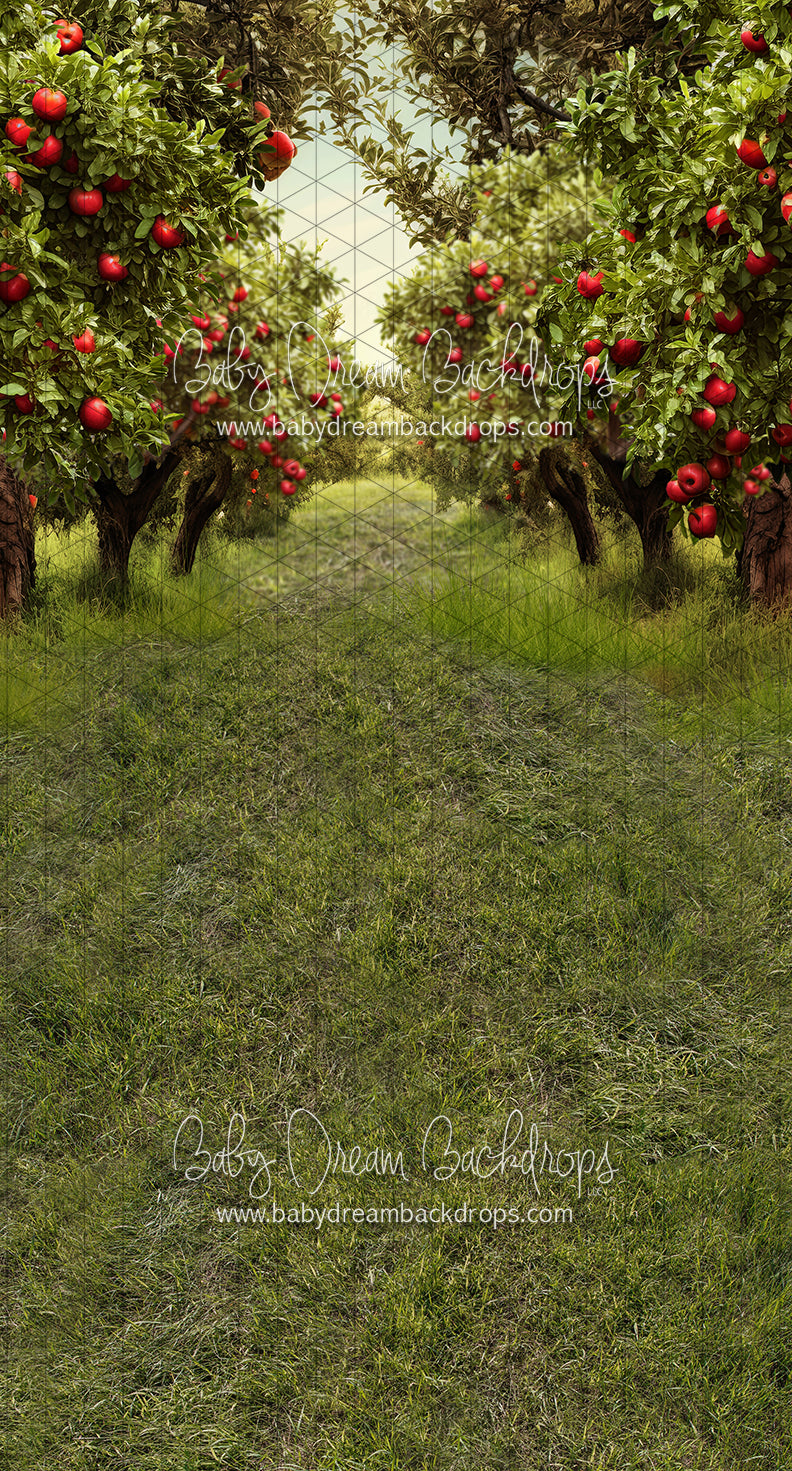 Sweeps Apple Orchard Path (Grass) (JA) — Baby Dream Backdrops