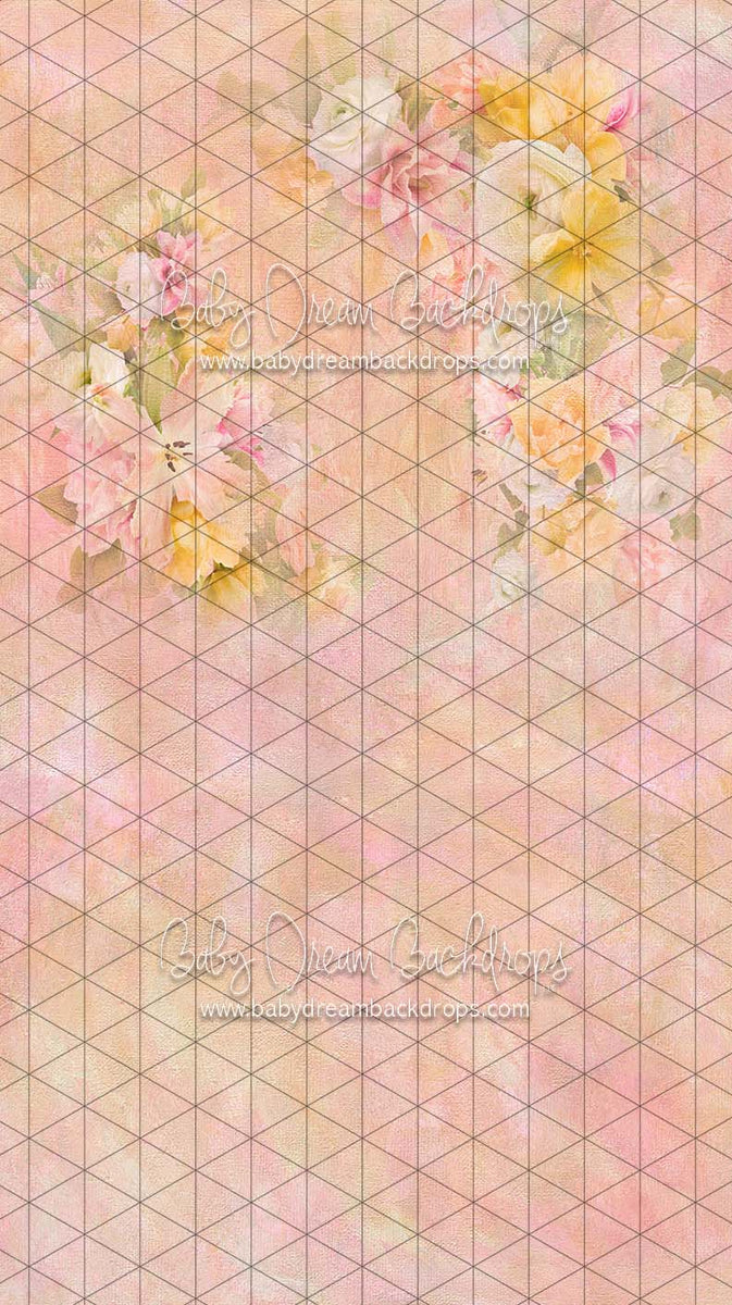 X Drop Sweeps april awe – Baby Dream Backdrops