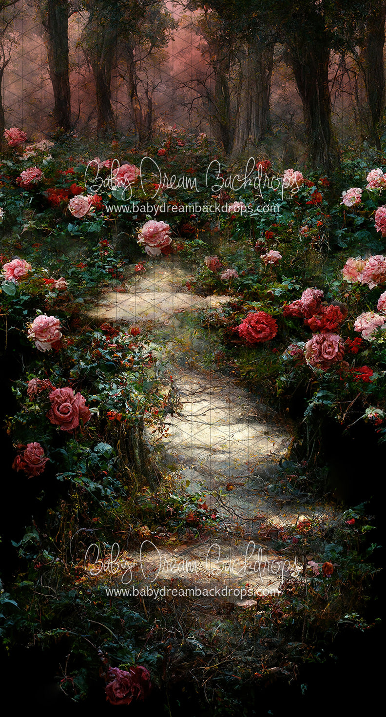 Sweeps Dreamy Romance Path (LL) — Baby Dream Backdrops