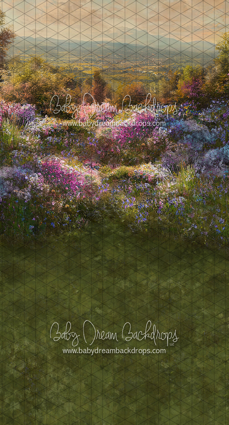 Sweeps Hill Top Spring (LL) — Baby Dream Backdrops