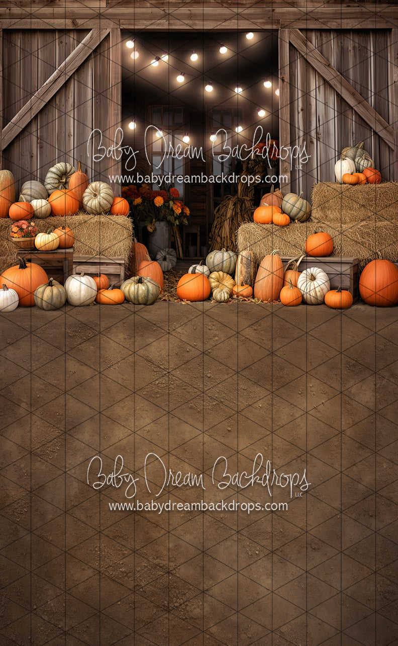 Sweeps Rustic Pumpkin Barn Door (JA) – Baby Dream Backdrops