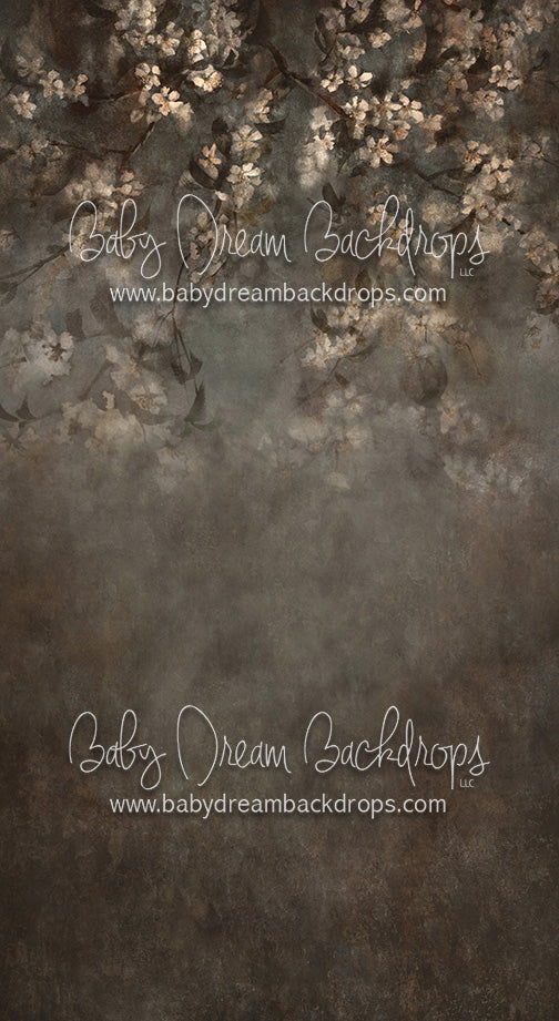 Sweeps Debra – Baby Dream Backdrops