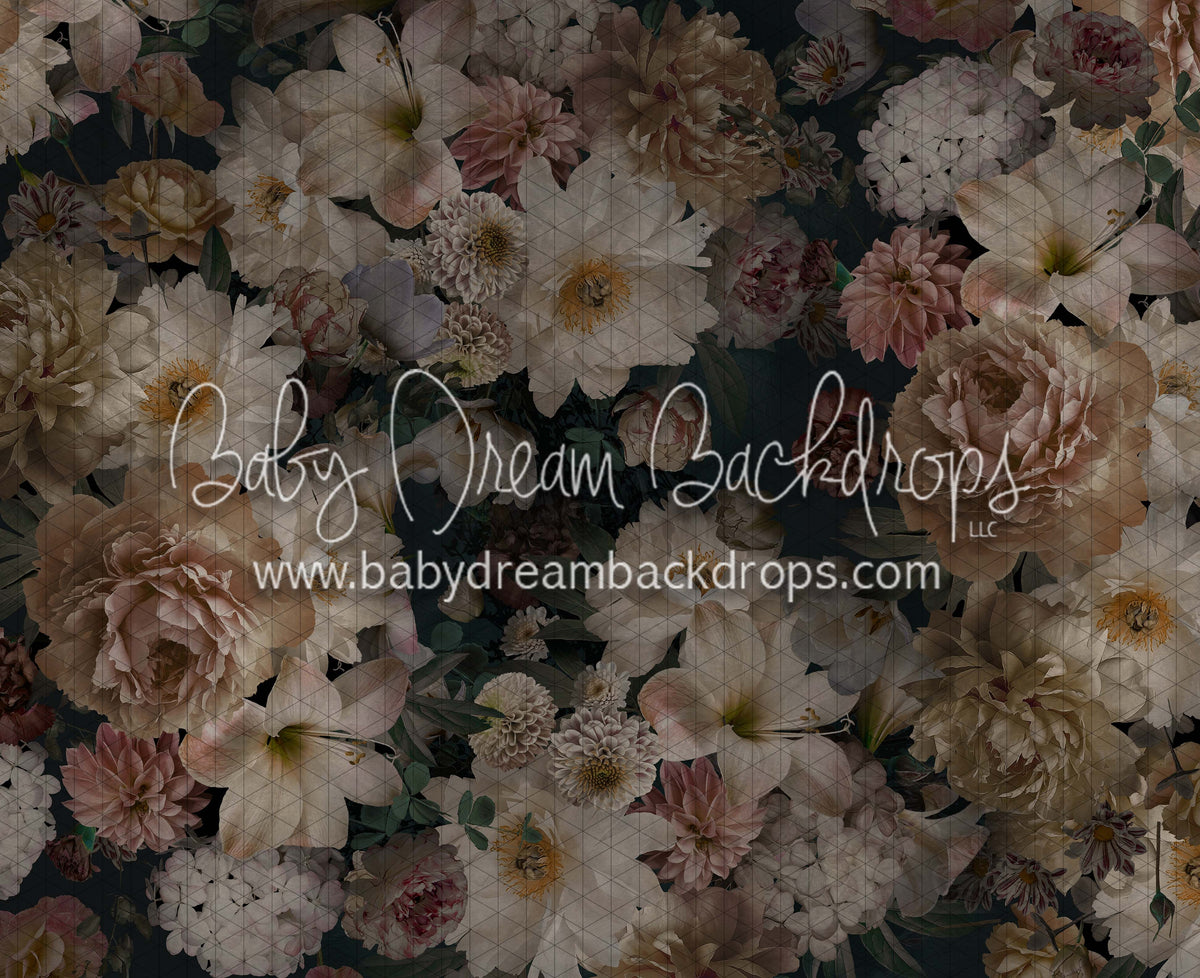Timeless Fantasy — Baby Dream Backdrops