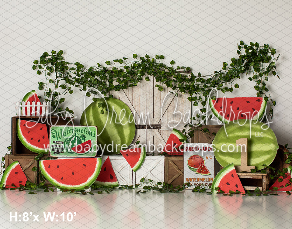 Watermelon Crawl (AZ) – Baby Dream Backdrops