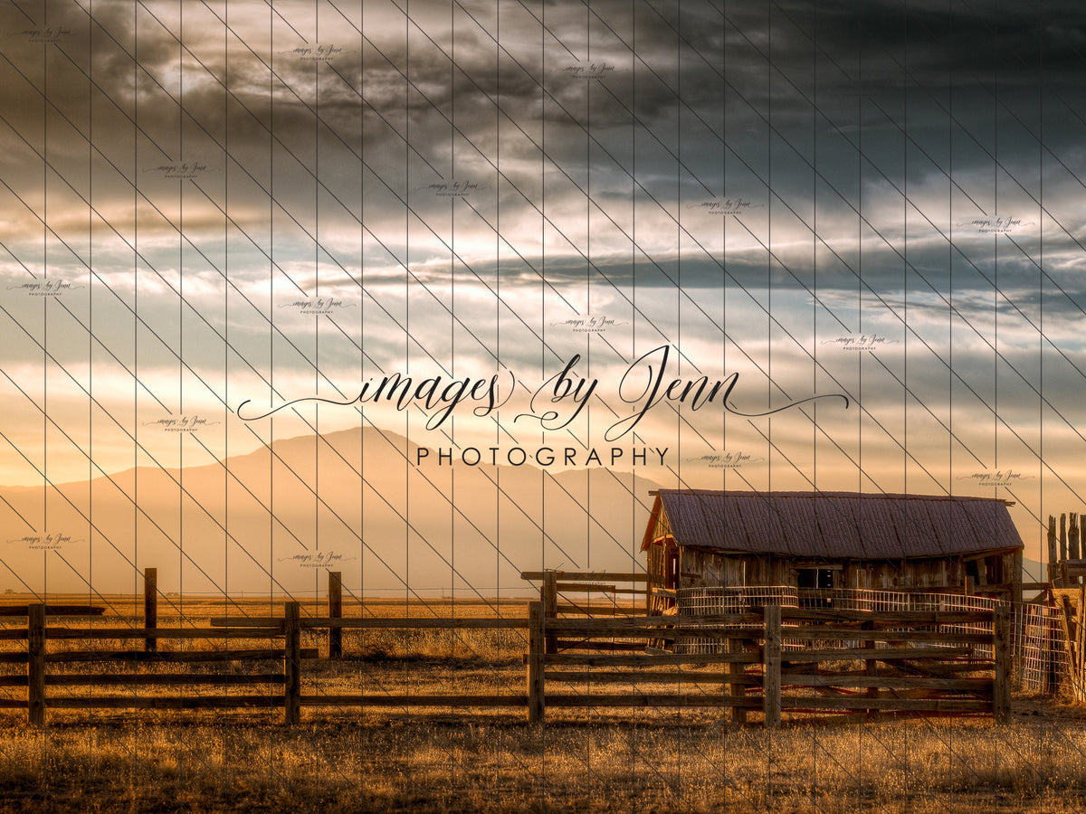 Western Sunset (JG) — Baby Dream Backdrops