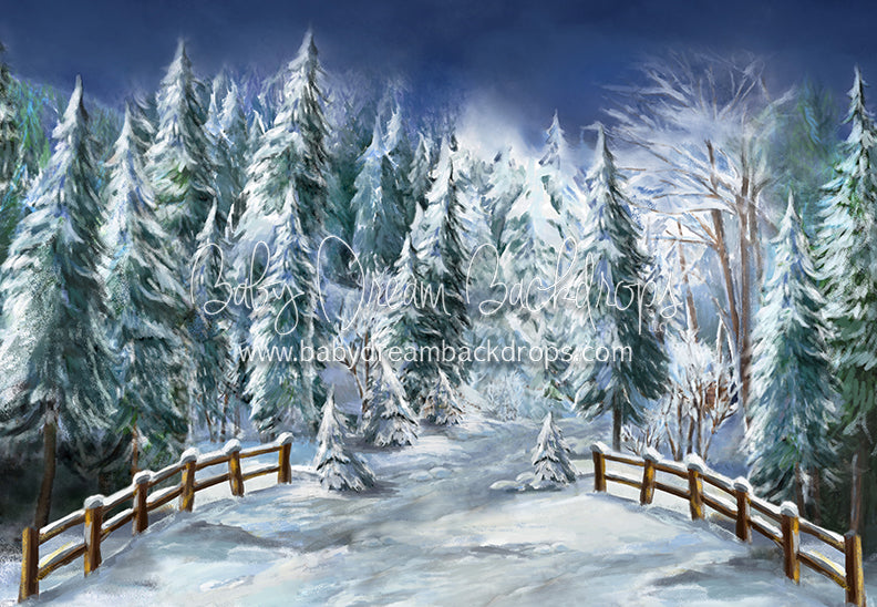 Winter Trail Fence — Baby Dream Backdrops