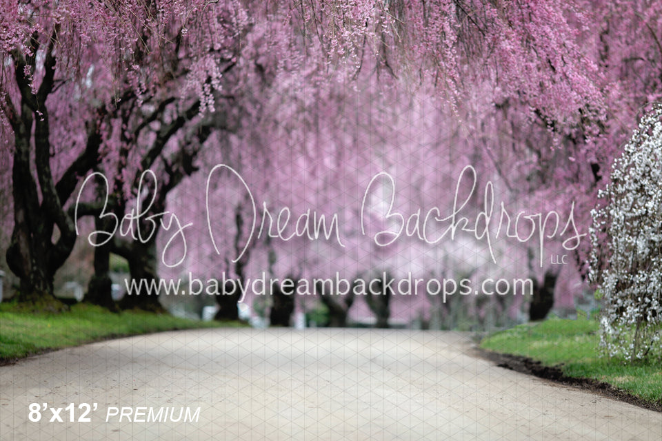 Cherry Blossom Row (LG) – Baby Dream Backdrops