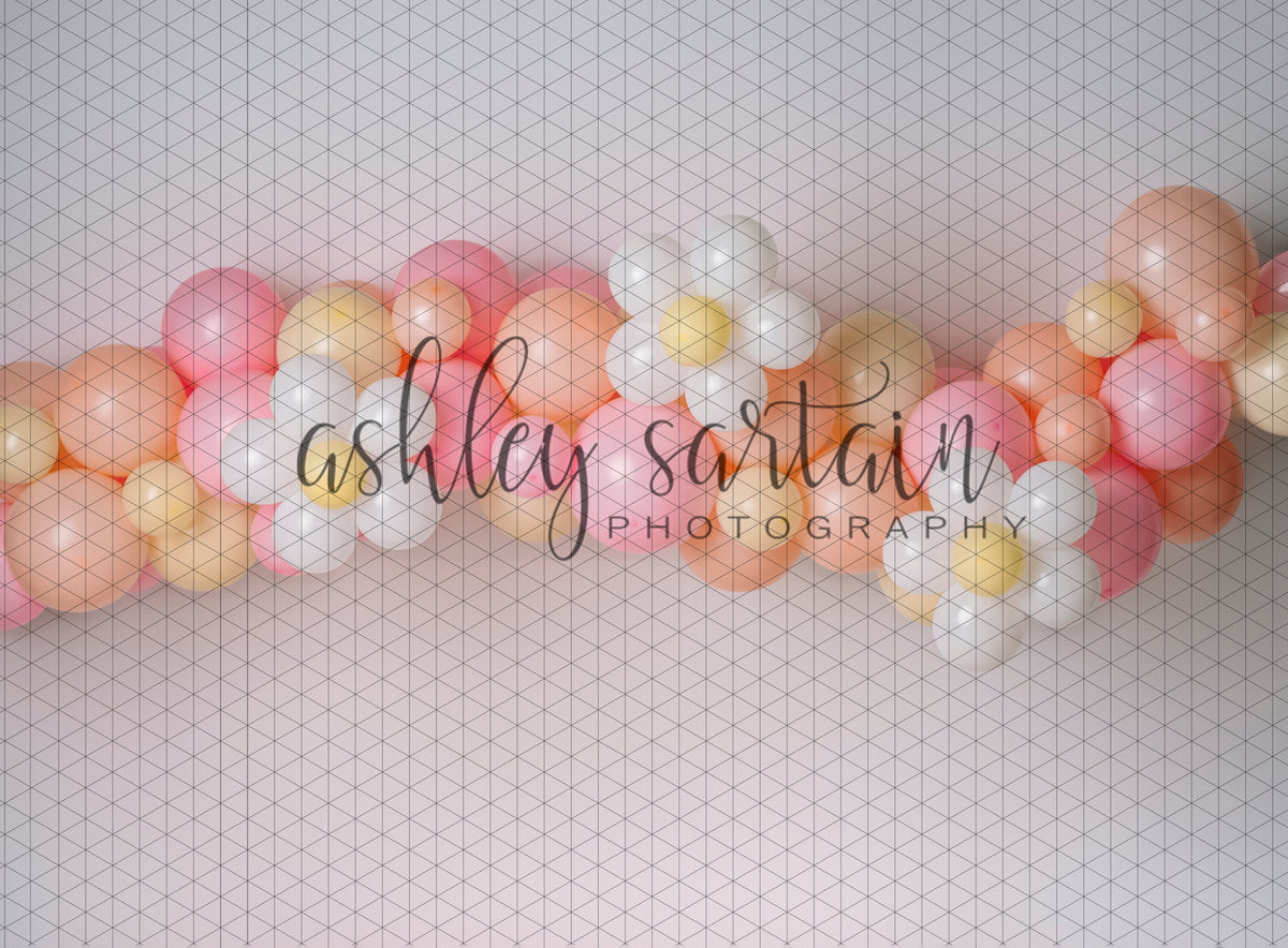 Daisy Balloon Garden (AH) — Baby Dream Backdrops