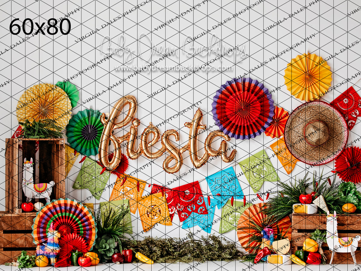 Fiesta Fiesta — Baby Dream Backdrops