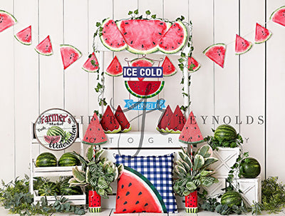 Ice Cold Watermelon – Baby Dream Backdrops