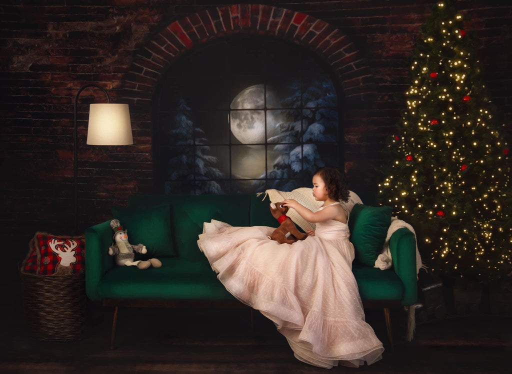 Northern Nook Window – Baby Dream Backdrops