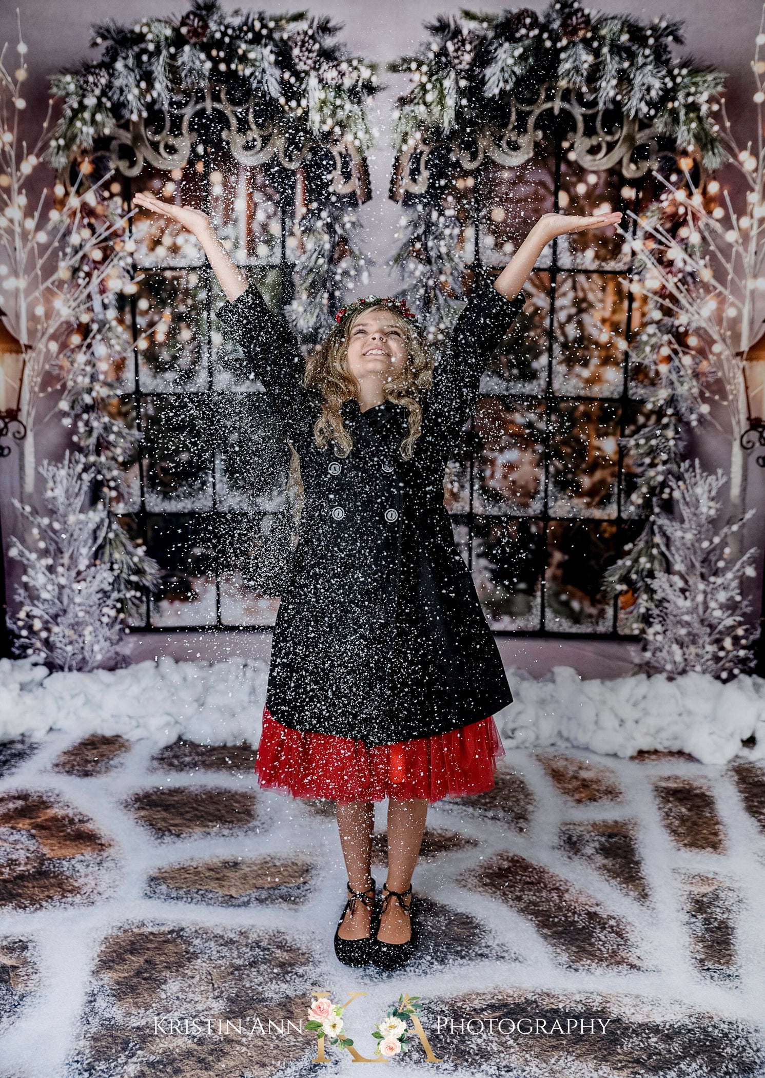 Winter Wonders Entry and Winter Wonders Windows Room — Baby Dream Backdrops