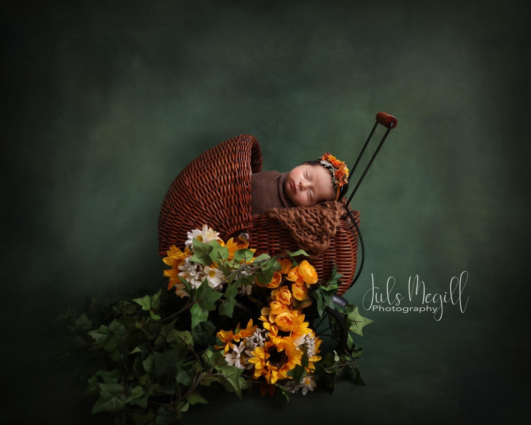 Bitty Dream Bundle - Earth — Baby Dream Backdrops