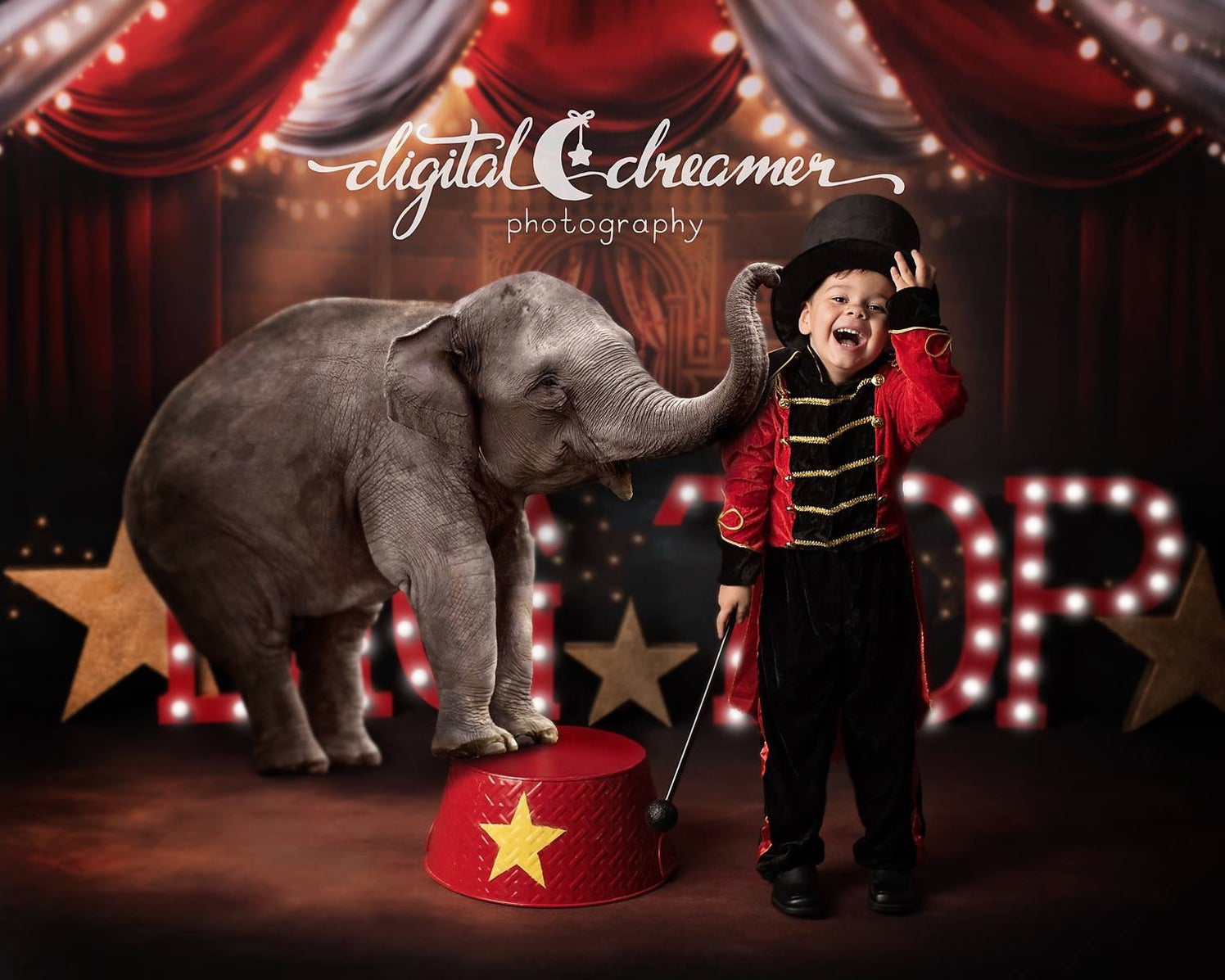 Greatest Show — Baby Dream Backdrops