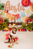 Fiesta Fiesta – Baby Dream Backdrops