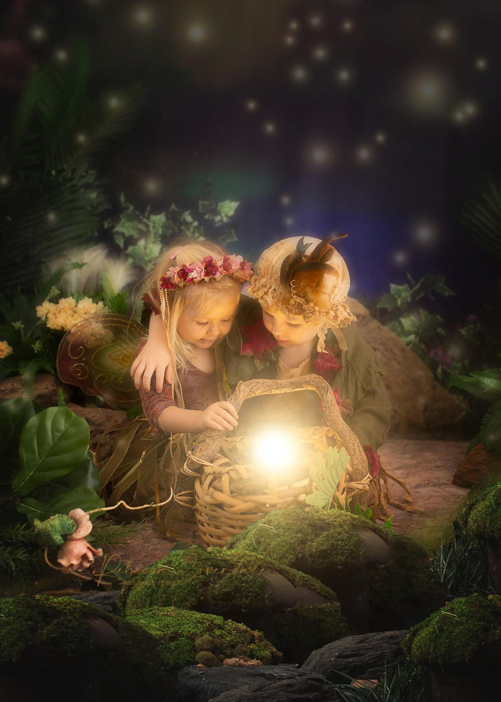 Pixie Hollow (JM) — Baby Dream Backdrops