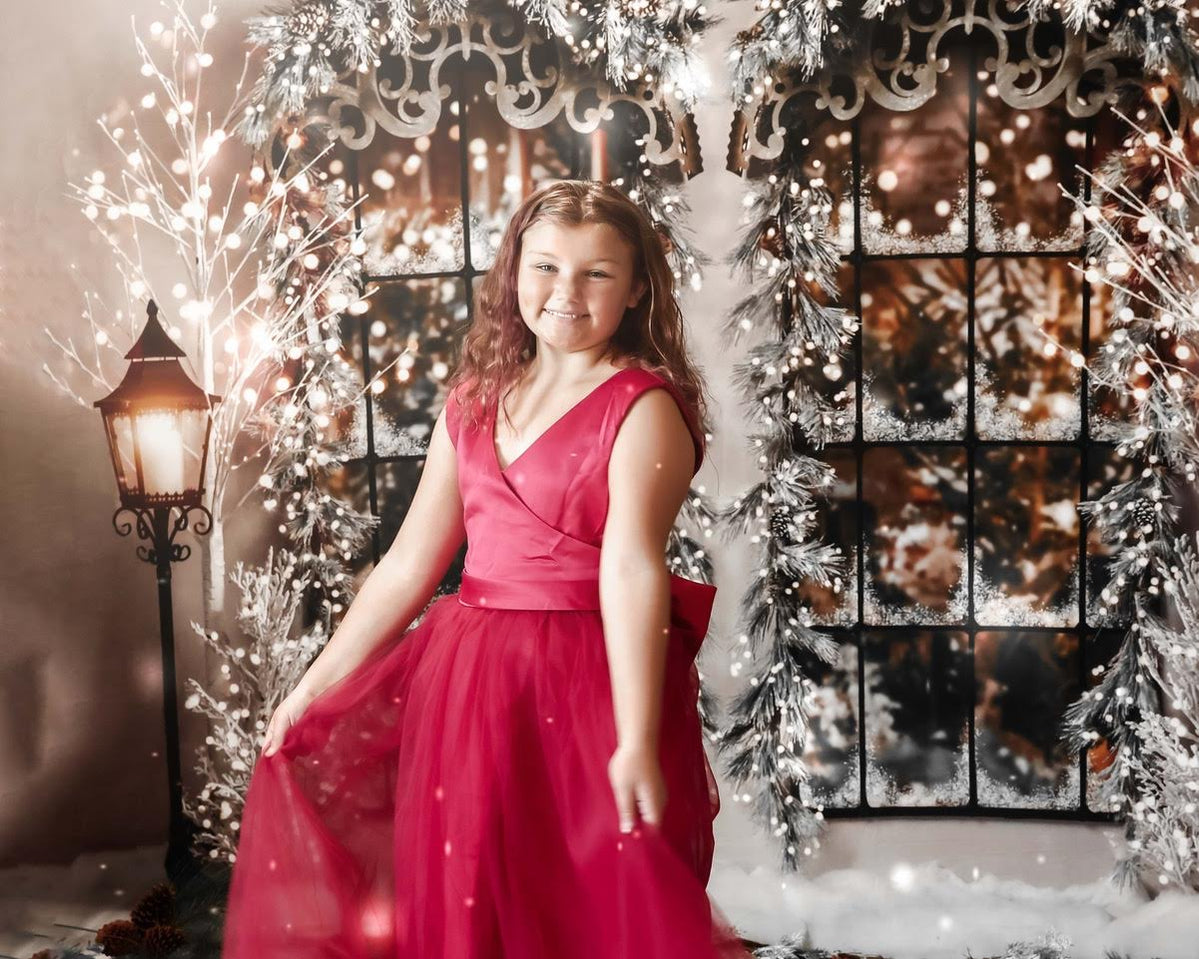 Winter Wonders Entry and Winter Wonders Windows Room — Baby Dream Backdrops