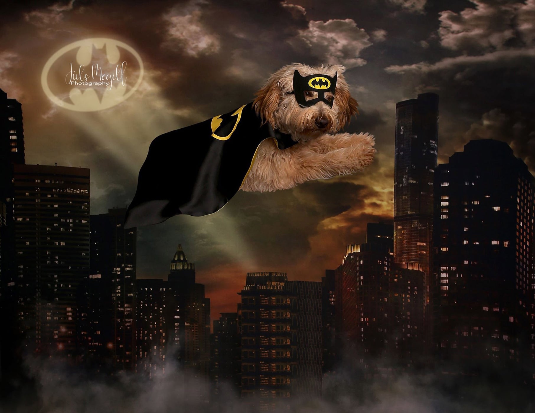 Save the City (CC) — Baby Dream Backdrops