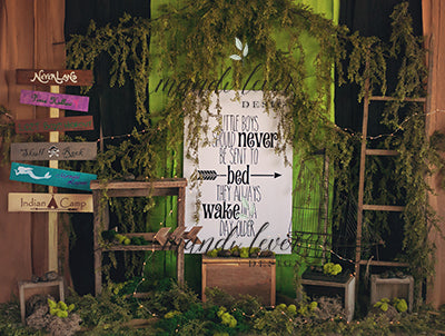Neverland Party – Baby Dream Backdrops