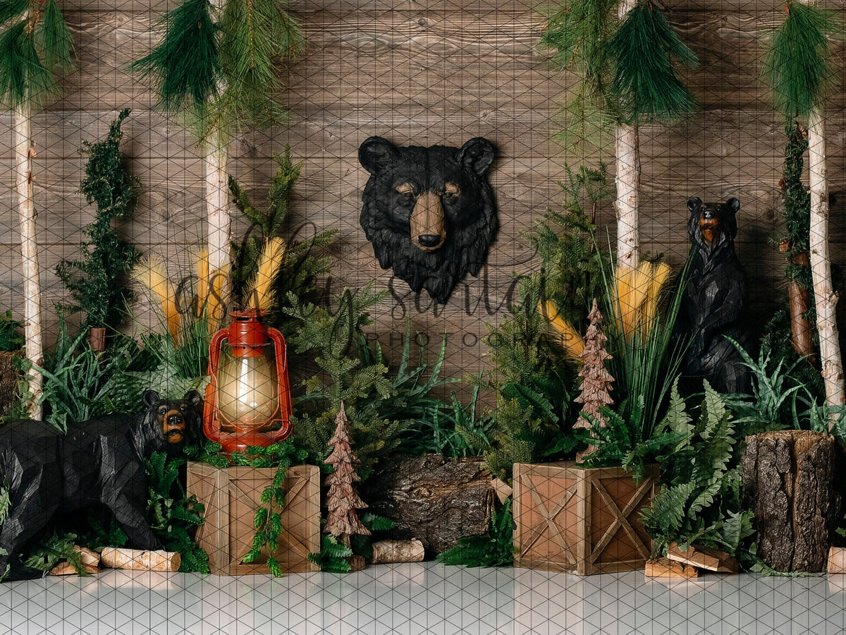 The Bear Den – Baby Dream Backdrops